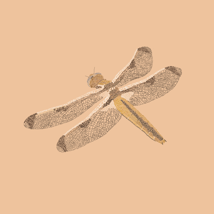 News Penguin selects dragonfly as April’s "Endangered Species of the ...